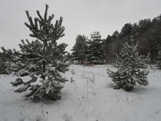 Camera metering modes explained - Pentax User