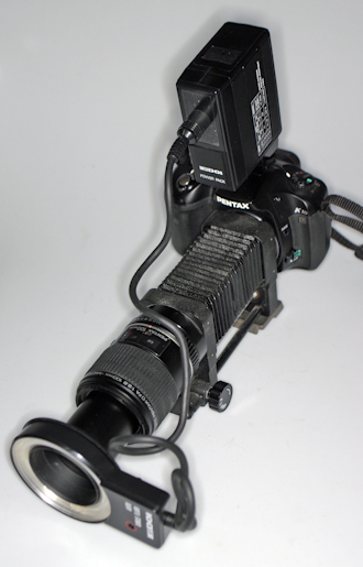 Guide to Ring Flash Photography