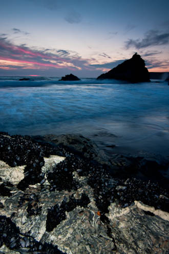 Using your Pentax camera's built in flash for fill flash - Pentax User