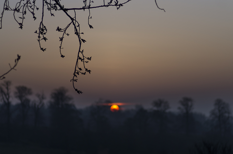 Silent Members - page 3 - Pentax User