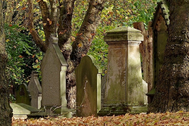 Post Holloween - a NICE graveyard - Pentax User