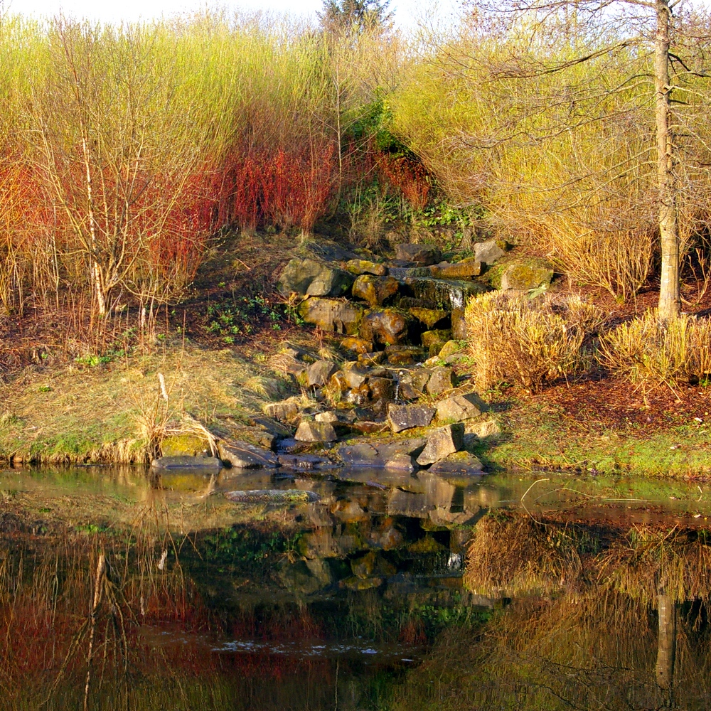 Old Valleyfield Pond - Penicuik, Midlothian by rwarren4 - Pentax User