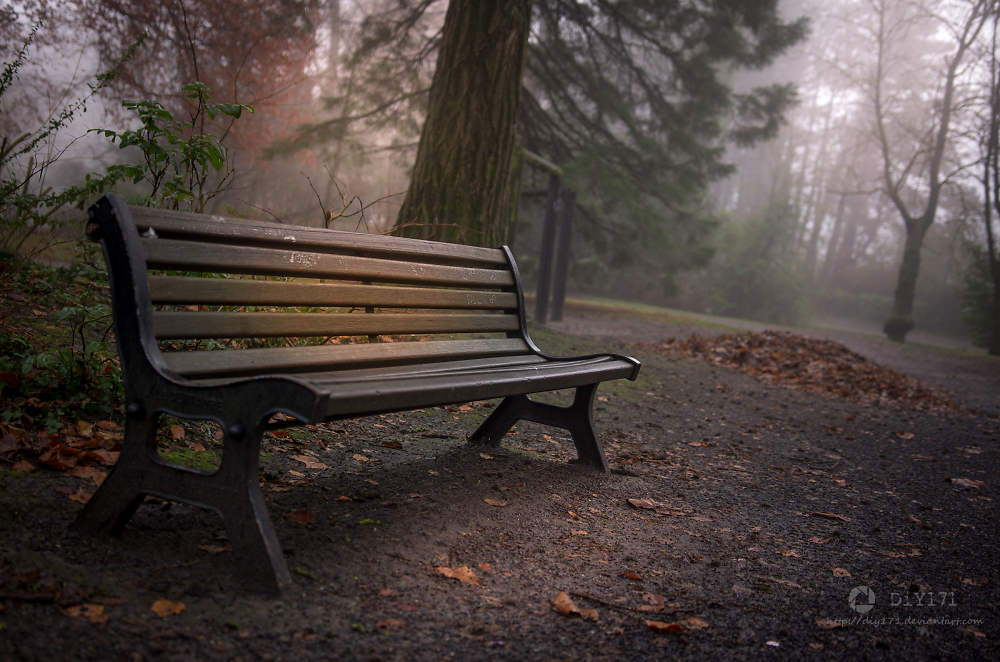 Lonely Bench by DiY171 - Pentax User