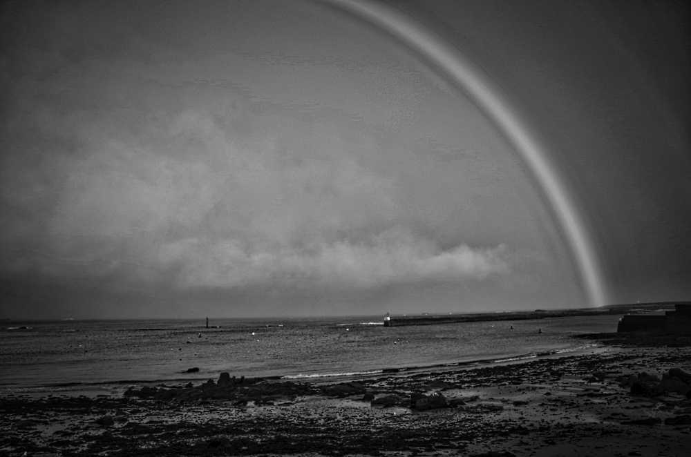 Book Review: The Extraordinary Colours of Auden Dare / Zillah Bethell ...