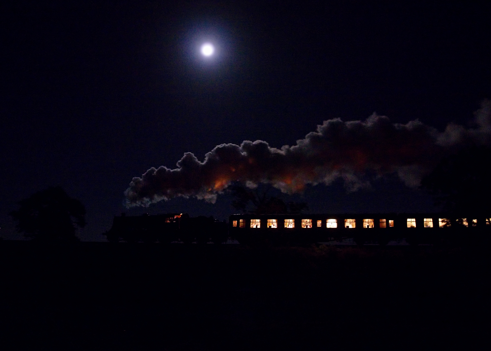 Moonlight Silhouette by StephenHampshire - Pentax User