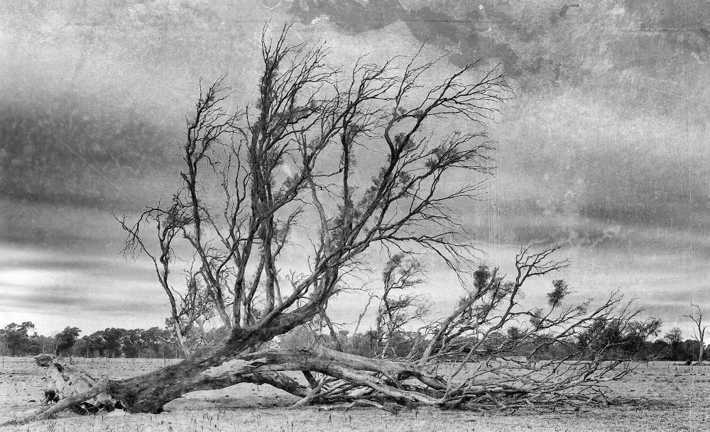 subverting the inhospitable