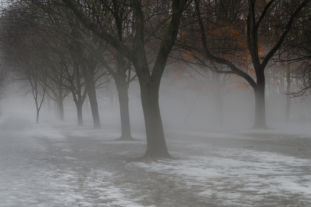 Ground Fog 5 by go4IT - Pentax User