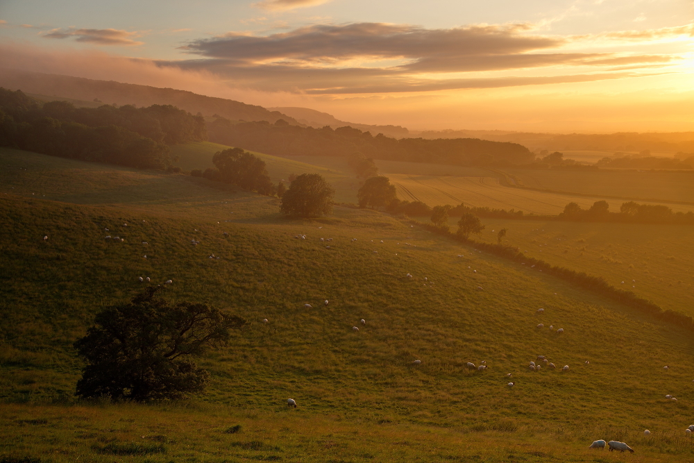 The Downs by alfpics - Pentax User