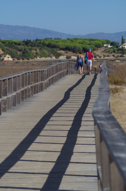 Wonky Lines by 1stEverPentax - Pentax User