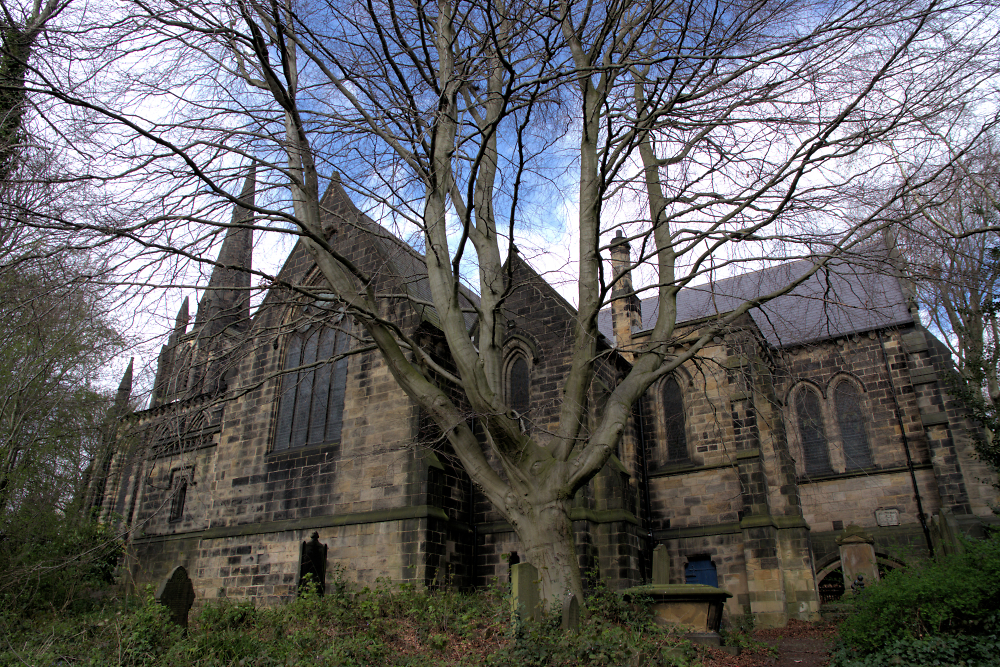 A Tree and A Church