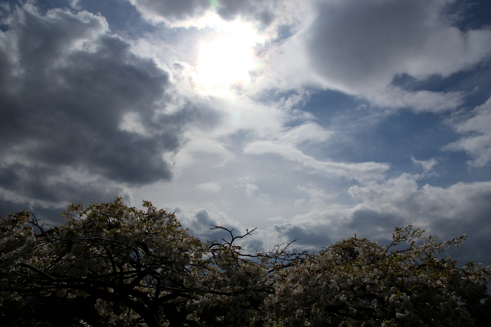Spring Sky by phillipjclay - Pentax User