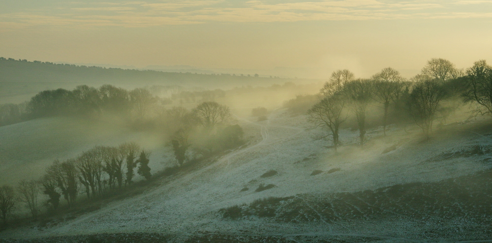 frost & mist - Pentax User