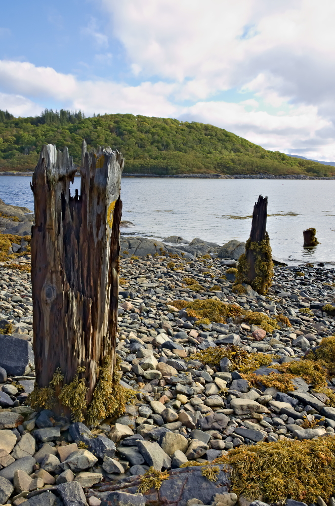 Weathered Posts by GedG - Pentax User