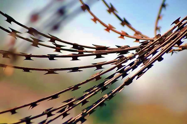 Weekly #642 - Rust Competition - Pentax User