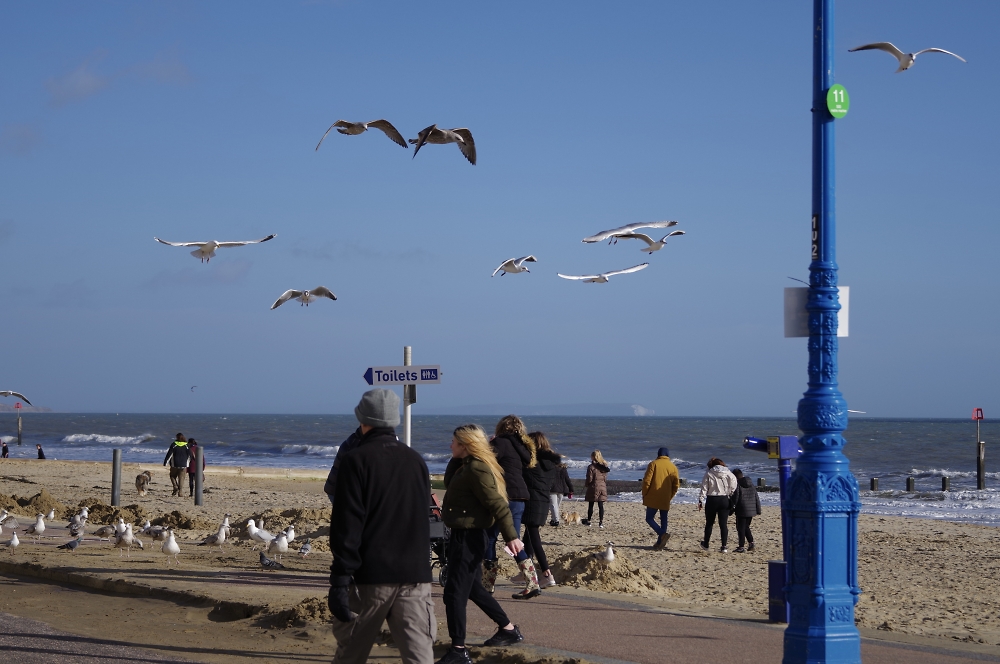 Bournemouth promenade a couple of days ago. by tuliptree - Pentax User