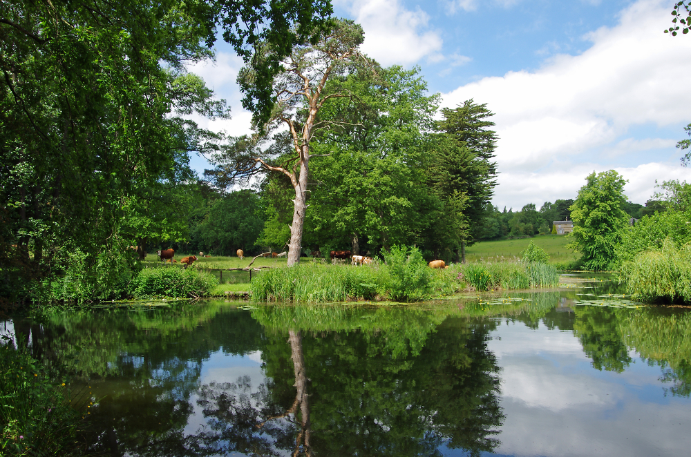 A Country Scene by davidrobinson - Pentax User
