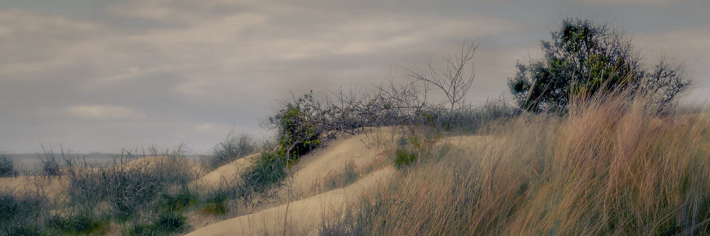 Blustery Day by kerrowdown - Pentax User