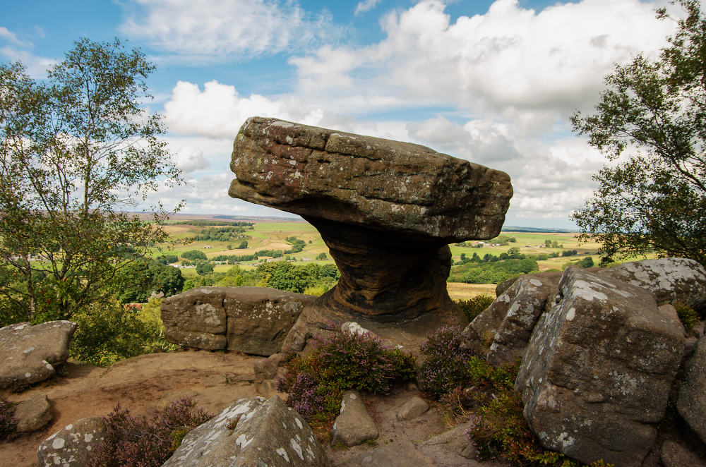 Druids Writing Desk