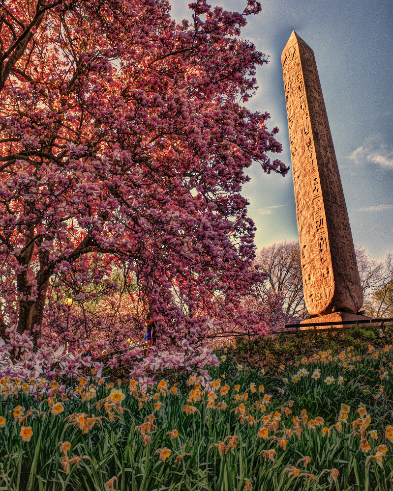 Springtime in Central Park NYC - Pentax User