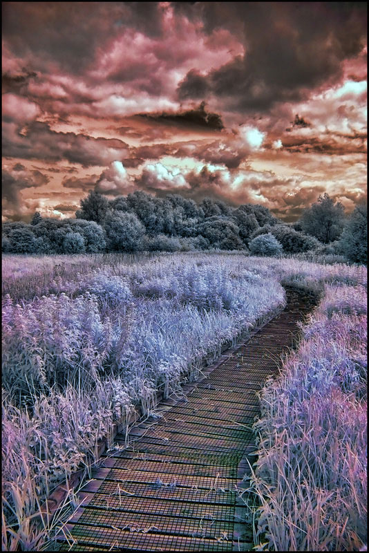 Infrared Photography With A Pentax Digital SLR Part 1